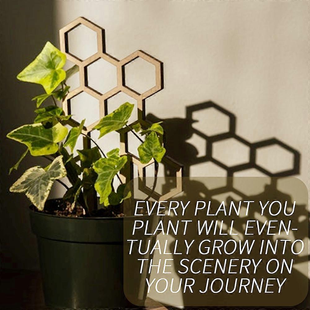 Garden Support Stake Wooden Plants Pot Trellis Decorative Cane Vines ...