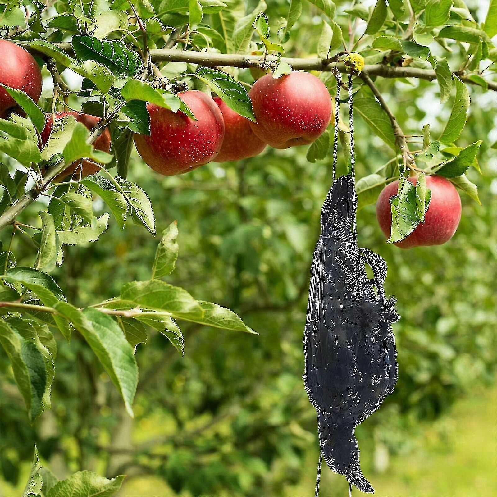 Realistic Hanging Dead Crow Decoy Lifesize Extra Black Feathered Crow ...