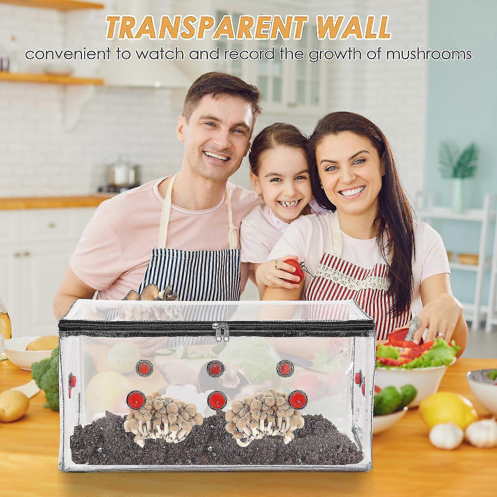 Home Mushroom Growing Kit with Grow Tent & Bags | All-in-One Fungi ...