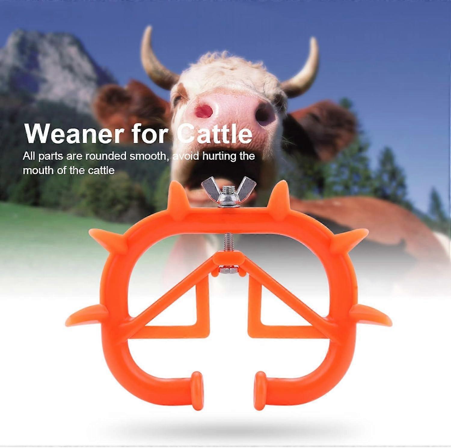 Pack of 6 Calf Weaners, Durable Plastic Cow Holder, Safe with Milking ...