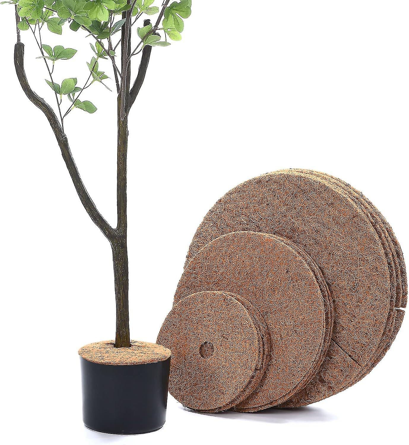 Coconut Fiber Mulch Ring Mat 16 Inch, 5 Pack Coco Coir Tree Protector ...
