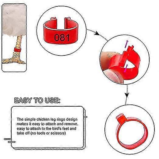 Hen Ring Leg Rings Identification 20mm Plastic Colored Chicken Bands ...
