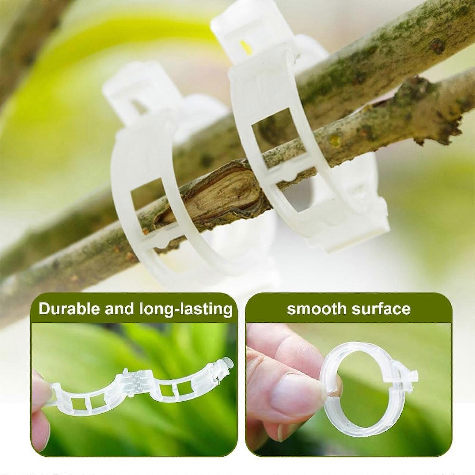 Secured Plastic Plant Clip, 2024 Upgrade Plant Support Clips, Garden ...