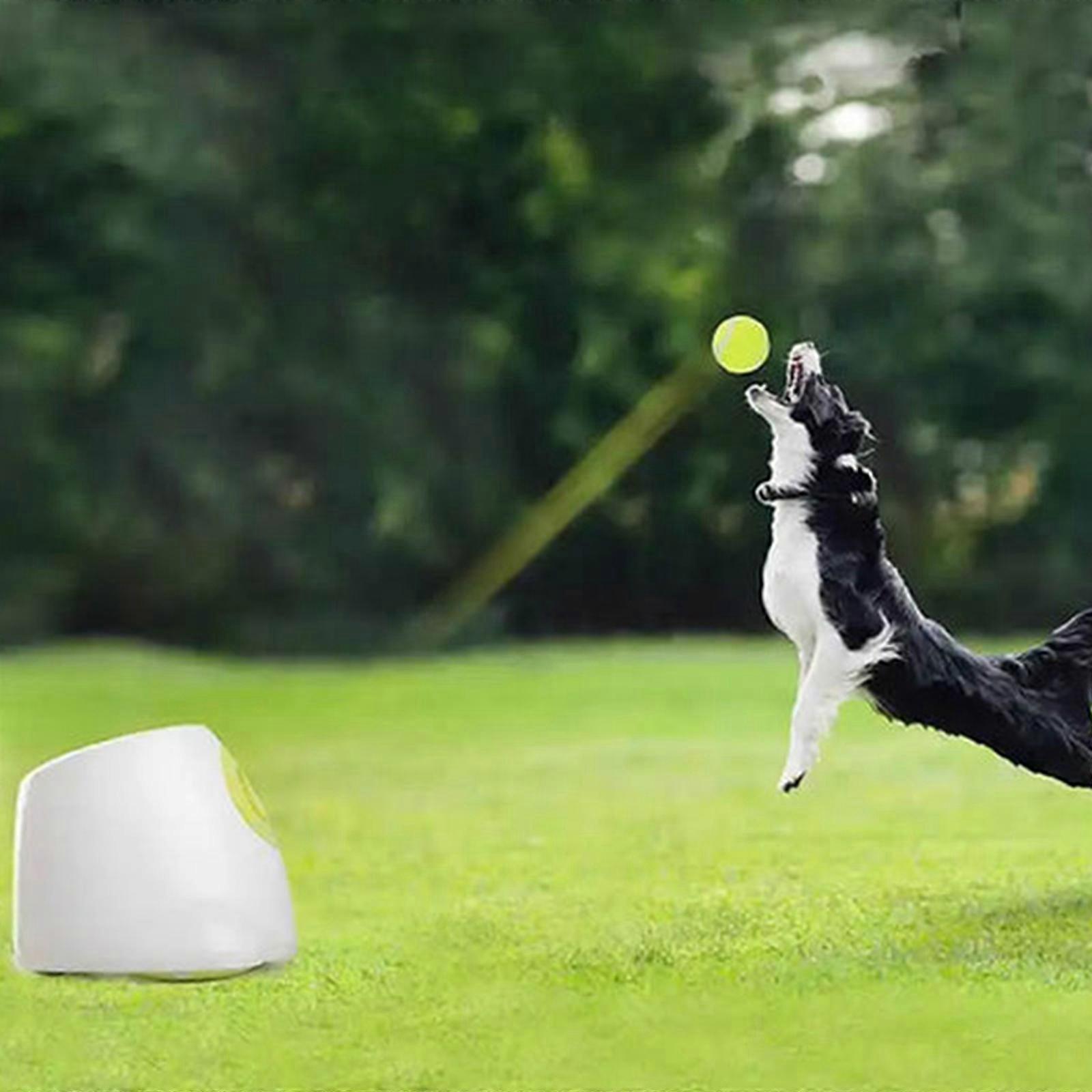 Brand New,Automatic Dog Ball Launcher: Keep Your Pup Active and ...