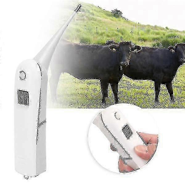 Veterinary Electronic Pigs Cattle Sheep Thermometer Temperature Tester ...