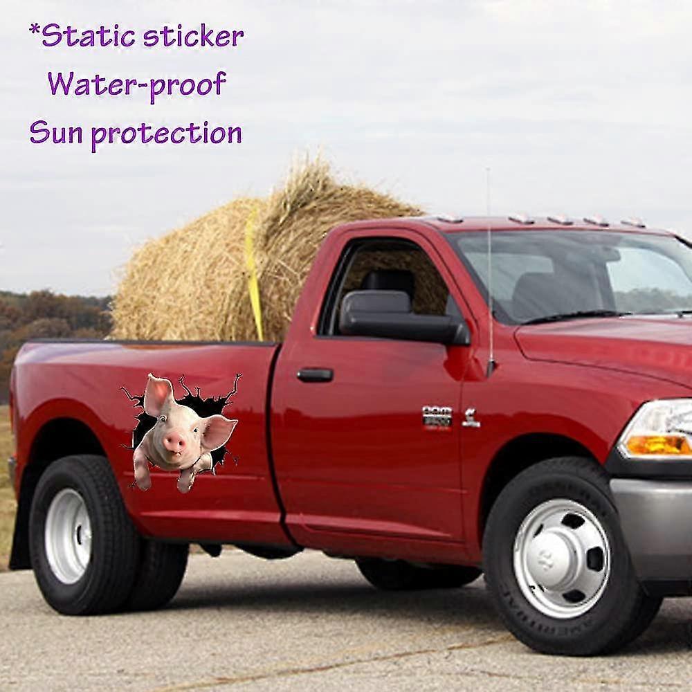 Funny Animal Car Sticker Pig Crack | Fruugo UK