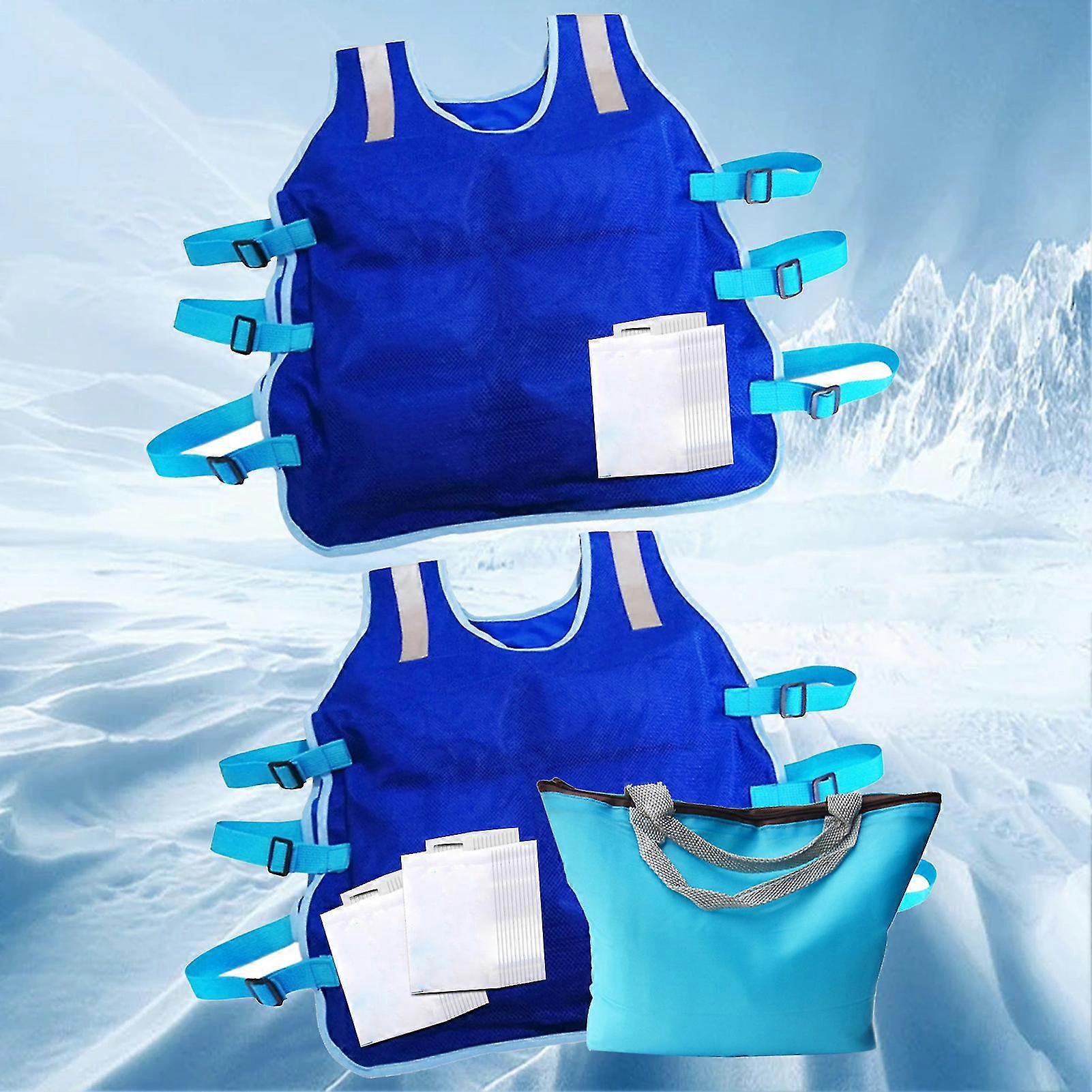 Summer Body Cooling Vest With 12/24pcs Ice Packs For Outdoor Fishing ...