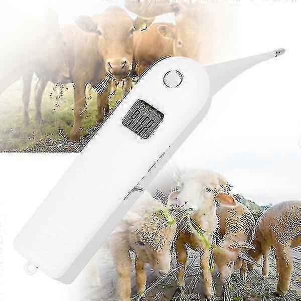 Veterinary Electronic Pigs Cattle Sheep Thermometer Temperature Tester ...