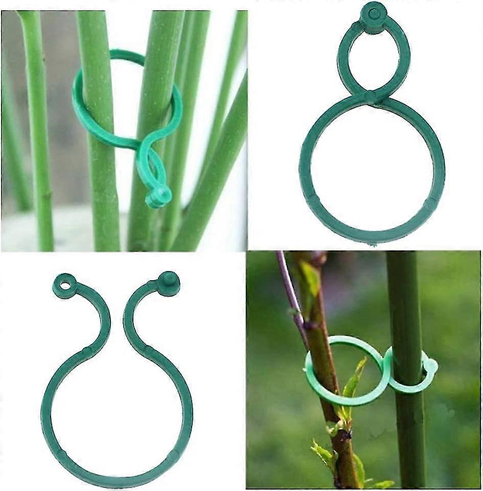 200 Pieces Plant Support Clips Green Support Climbing Plants Garden ...