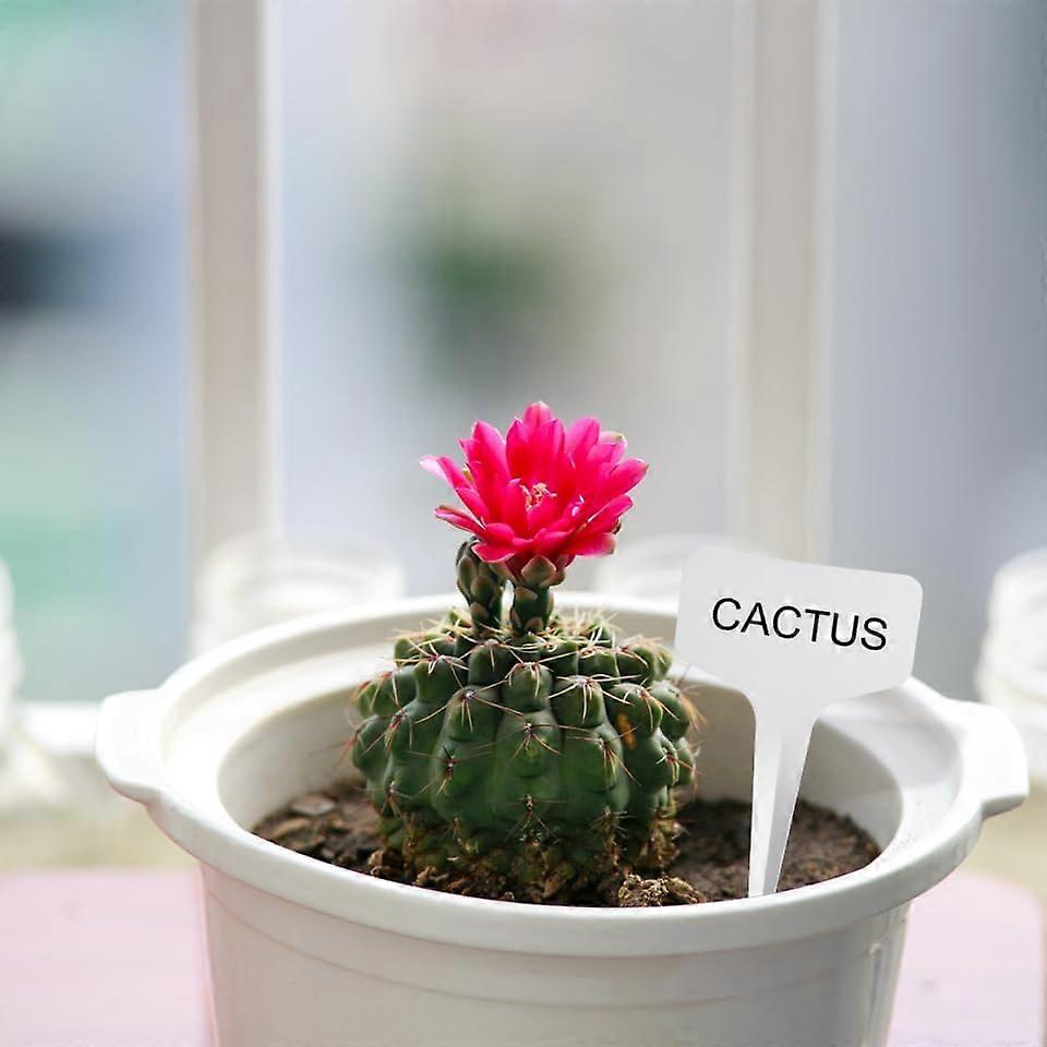 Waterproof Garden Labels Plastic Garden Tags Plant Signs T-Shaped ...