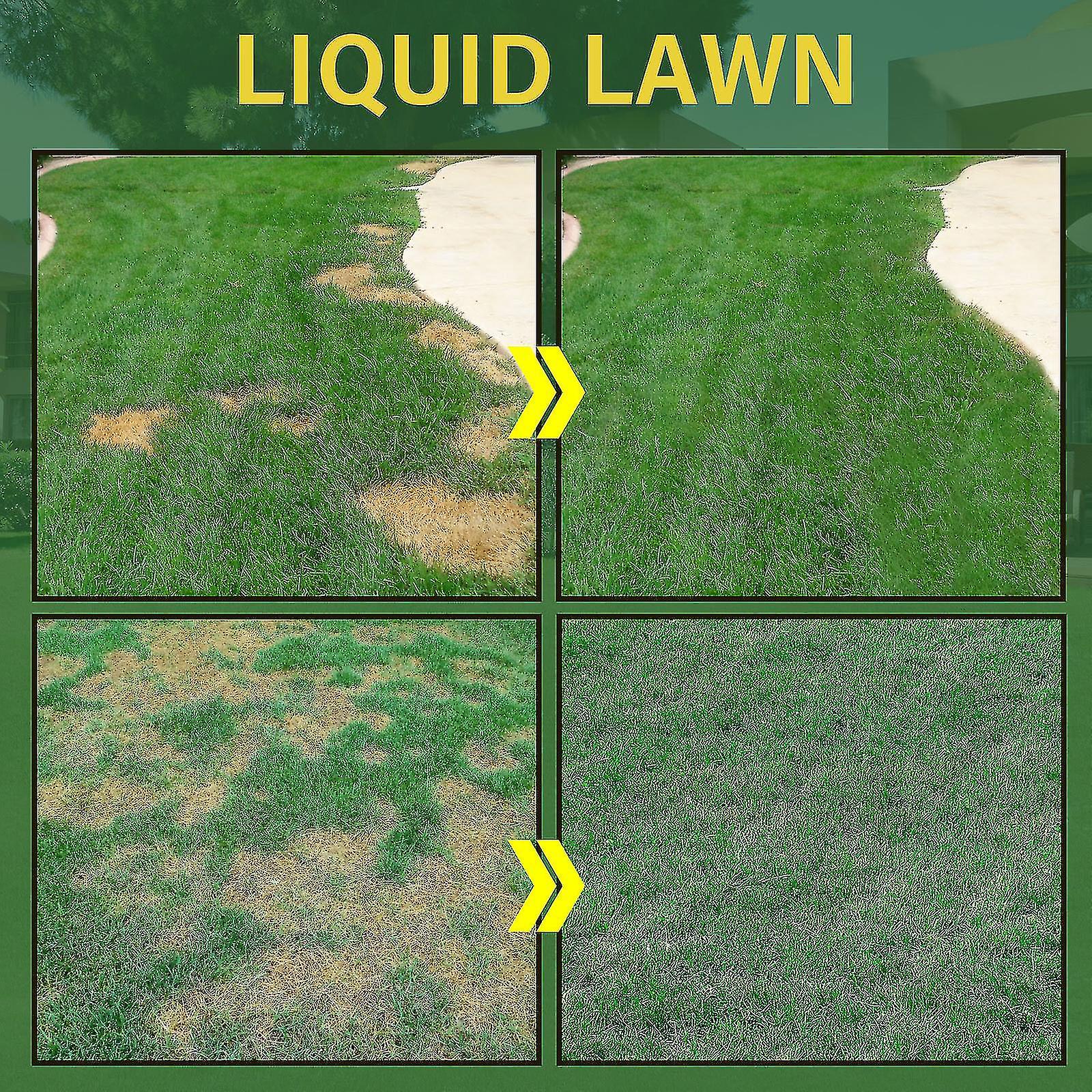 Lawn Nutritious Grass Planting Portable Grass Lawn Patch Seeding ...