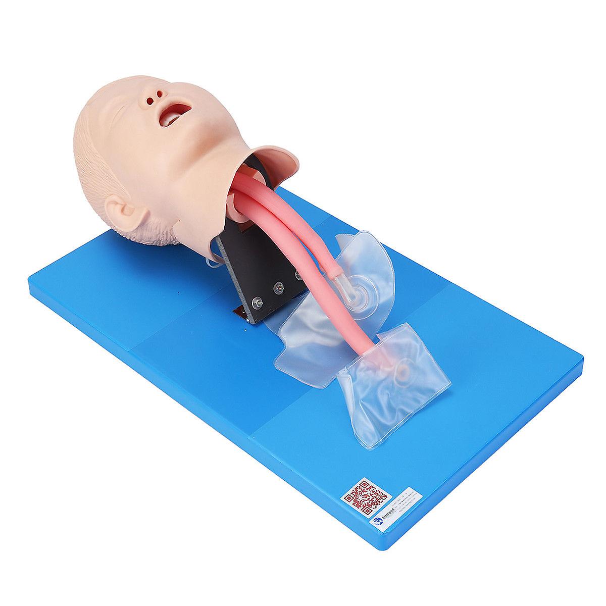 Intubation Manikin Study Teaching Child Model Airway Management Lab PVC ...