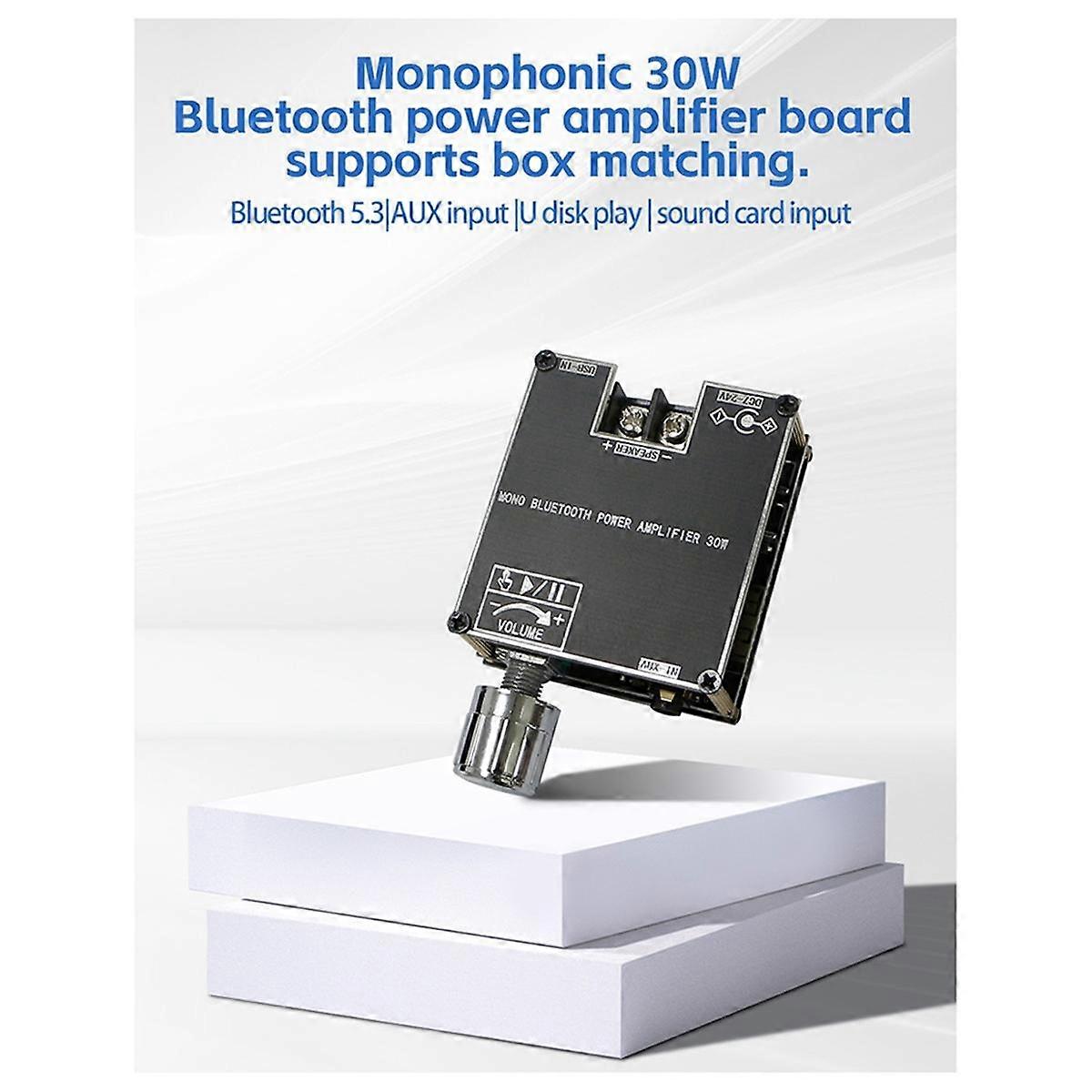 ZK301B Mono 30W BT5.3 Digital Audio Amplifier Module Supports True ...