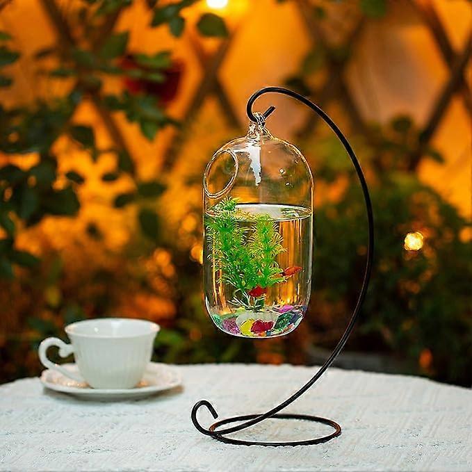 Desk Glass Hanging Fish Bowl Tank Beta Tank with Stand Fish Homes ...