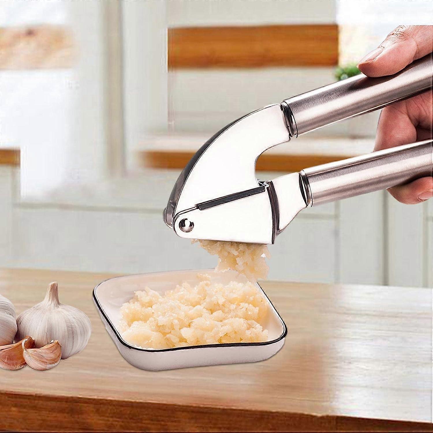 Garlic Mincer,Handheld Garlic Squeezer Stainless Steel - Vegetable ...