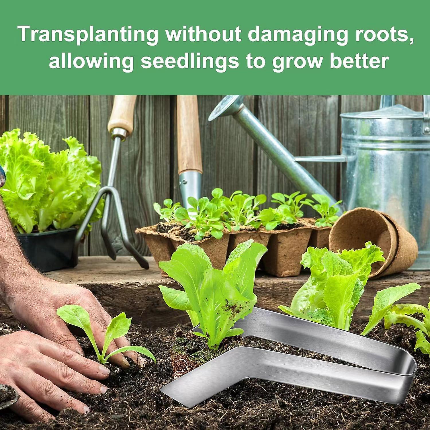 Stainless Steel Seedling Transplanting Tool, Reduce Root Damage for ...