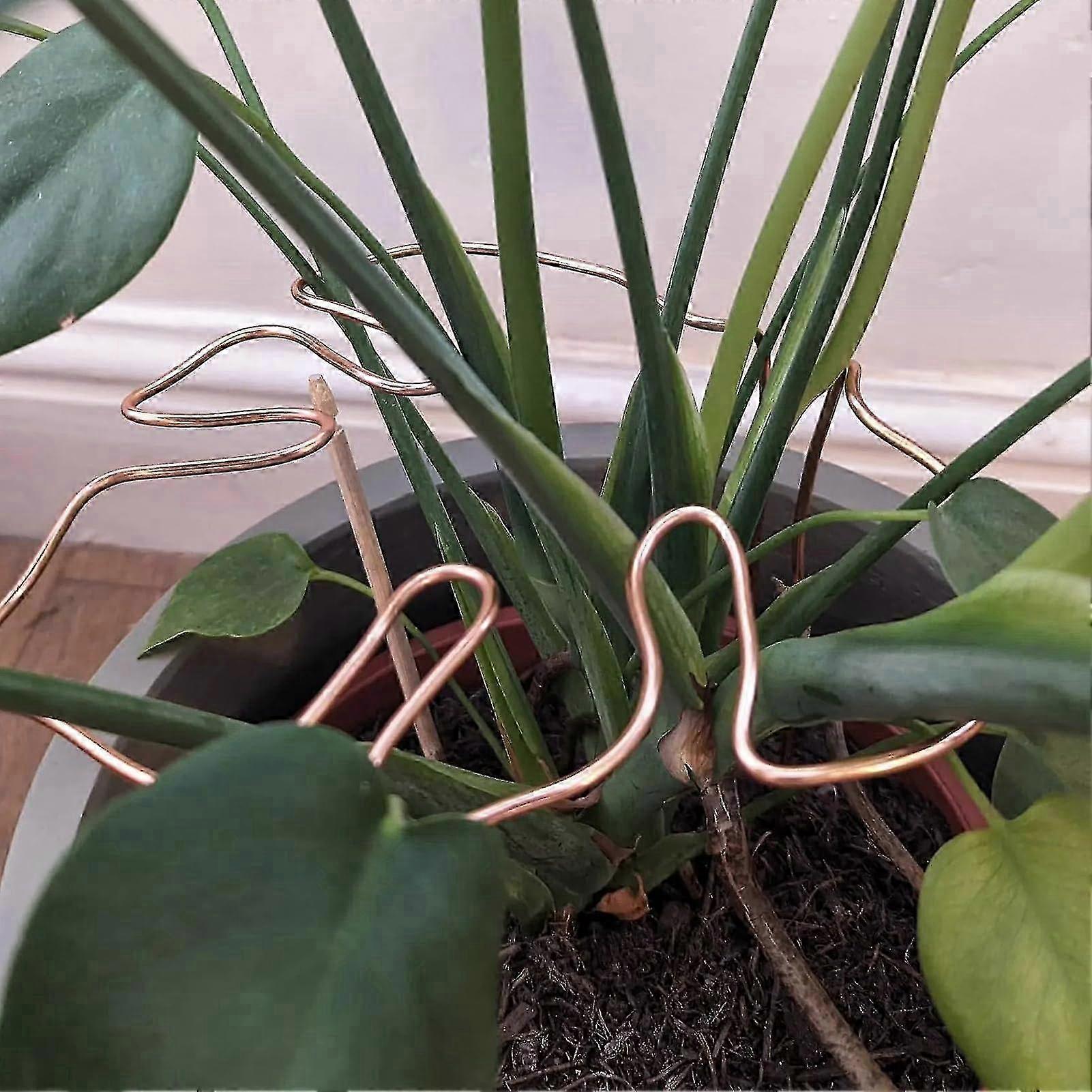 Monstera Formad Växt Stativ, Söt Bladformad Växt Burar Och Stöd ...