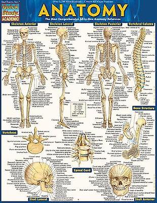 Anatomy Reference Guide 85 x 11 a QuickStudy reference tool Quick Study Quizzer | Fruugo UK