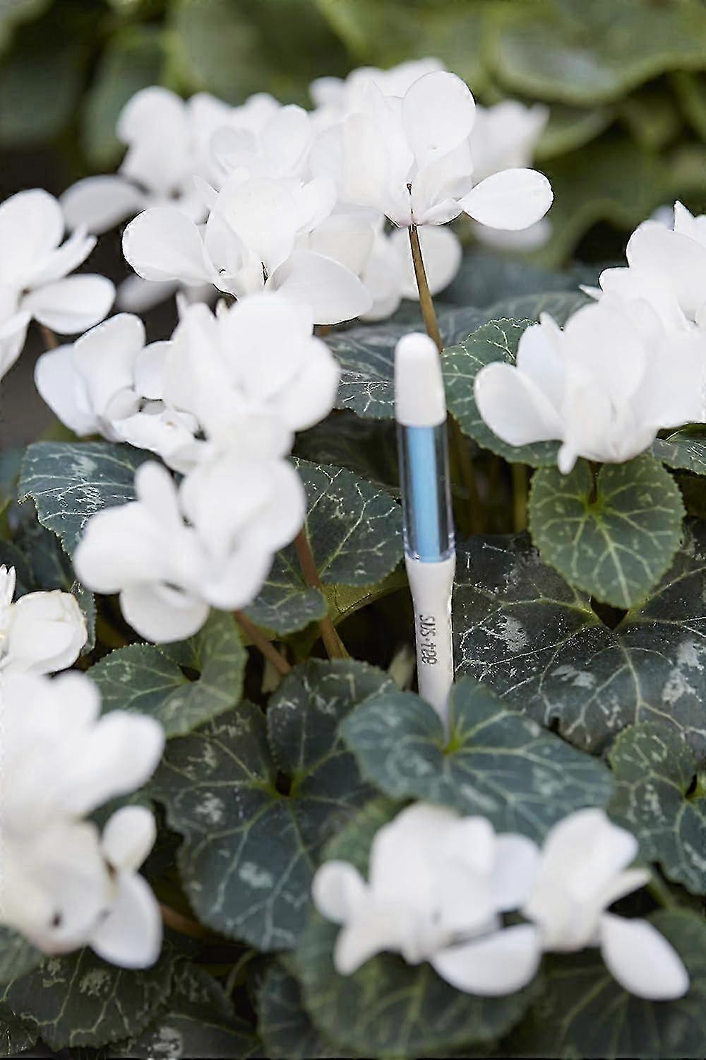 Sustee Aquameter, Set of 5, Plant Soil Moisture Sensor | Fruugo UK