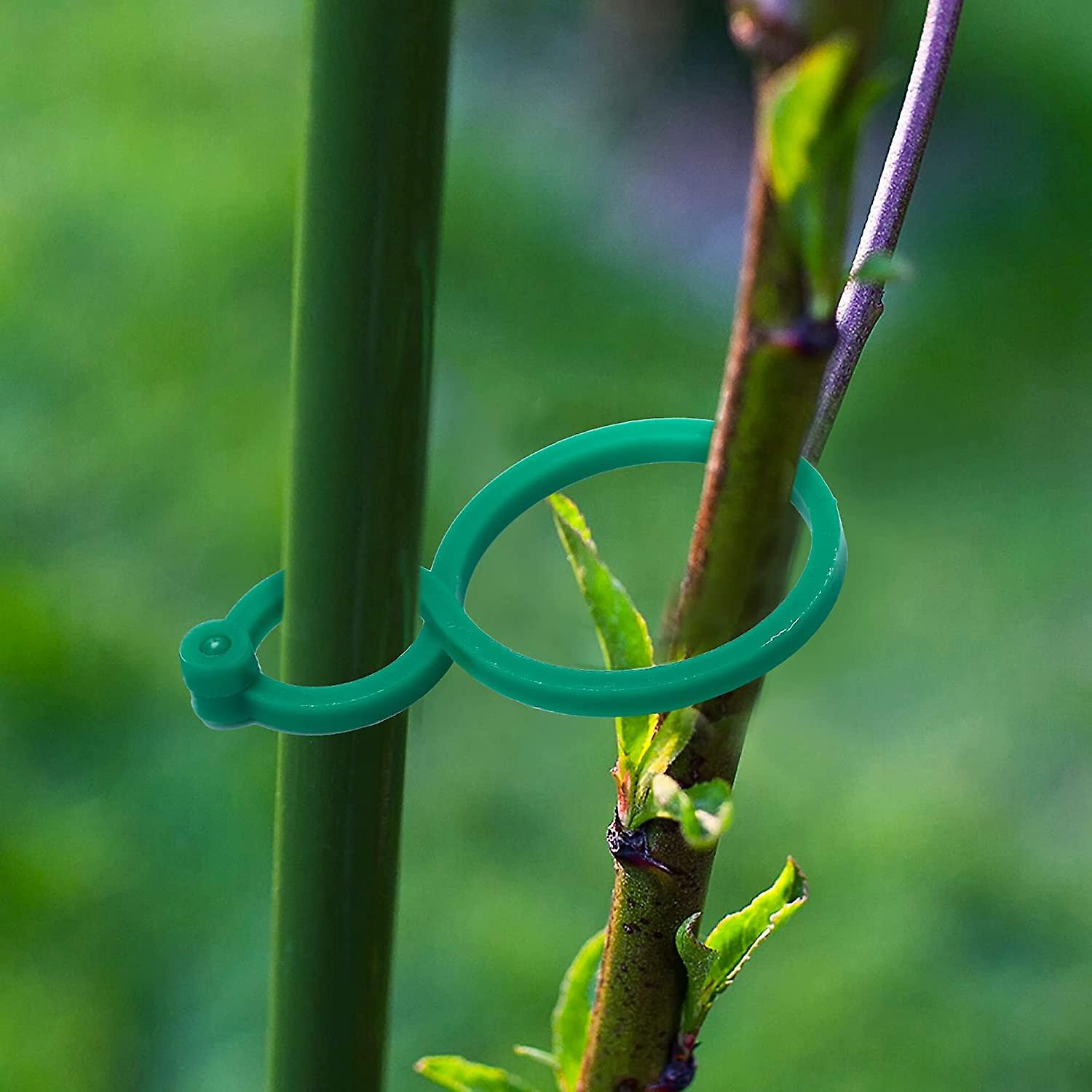 Plant Clips Plant Holder For Tomatoes Roses Cucumbers Climbing Plants ...
