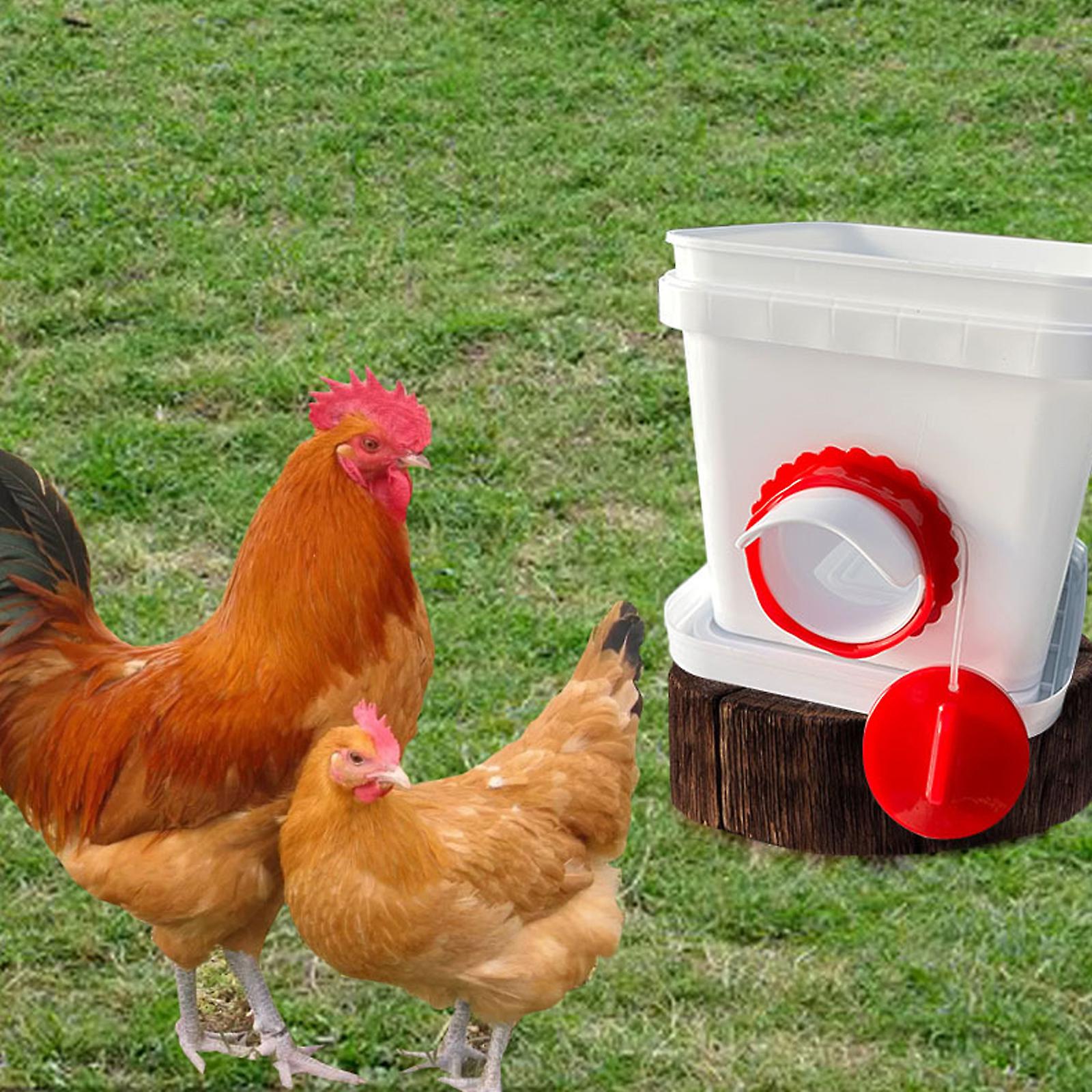 Diy Chicken Feeders No Waste, Poultry Feeder With Covers Gravity Feed ...