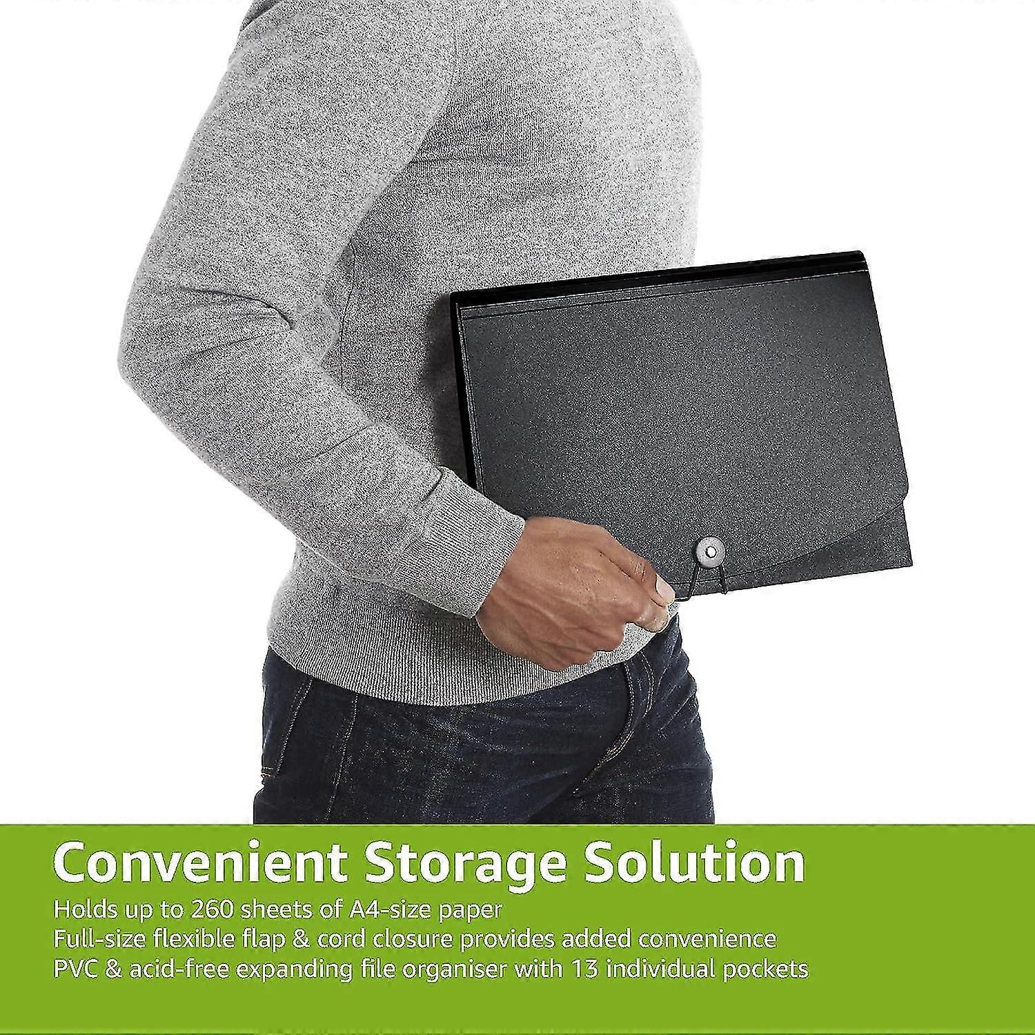 Expanding File Organizer A4 Size - Black, 13-pockets For Documents ...