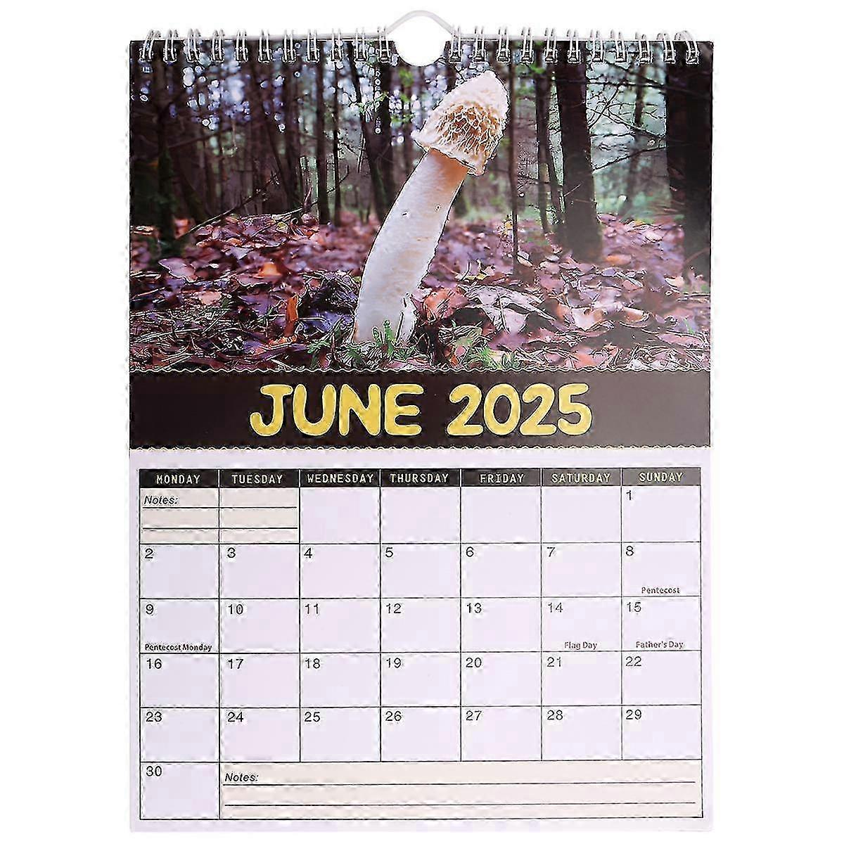 Calendrier des plus grands champignons du monde 2025 Apportez de la ...