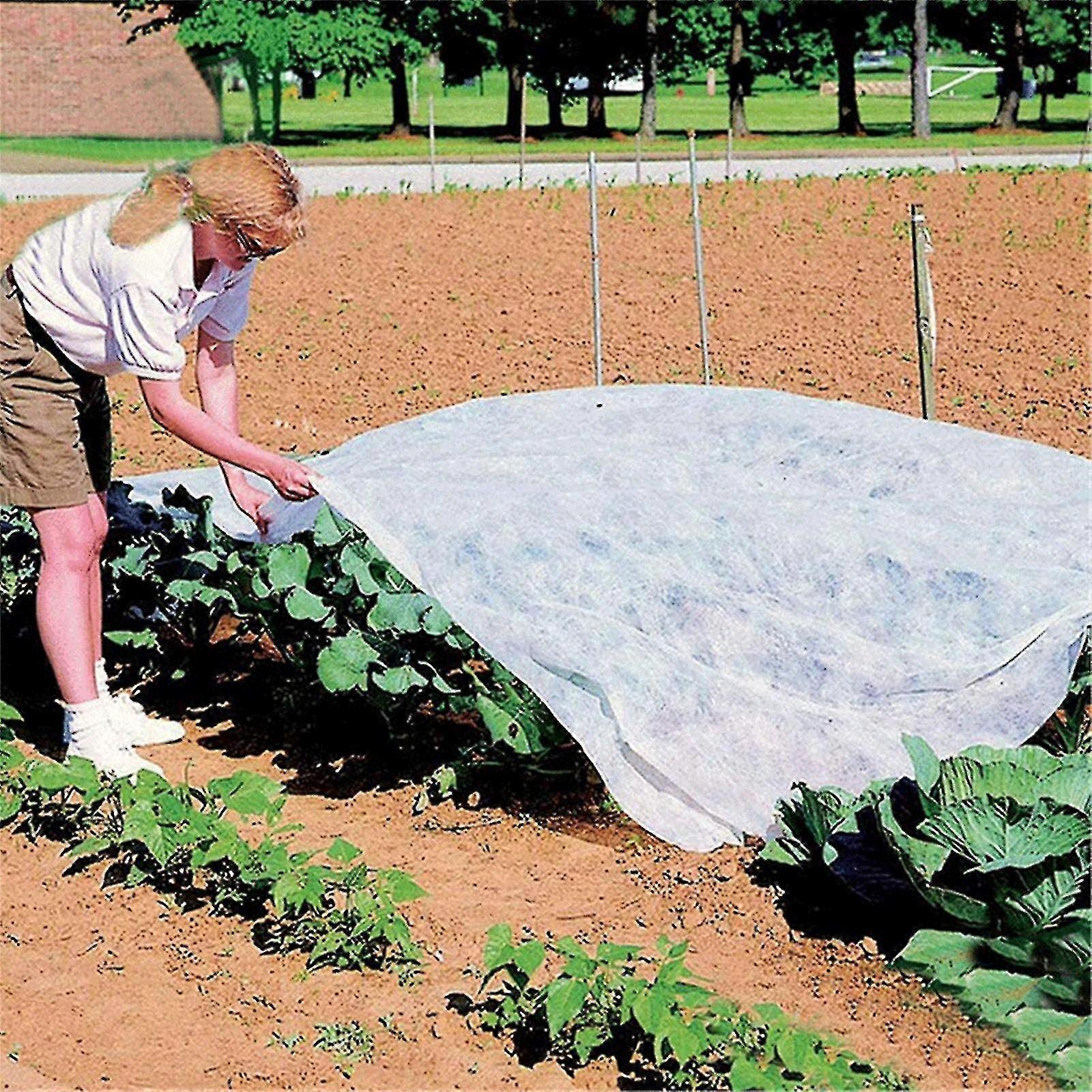 Plant Covers Freeze-protection Floating Row-cover Garden Fabric Plant ...