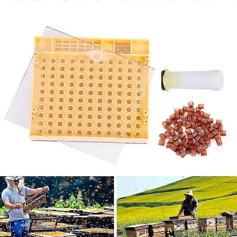 Essential Beekeeping Equipment Kit Queen Rearing for Beekeeping ...