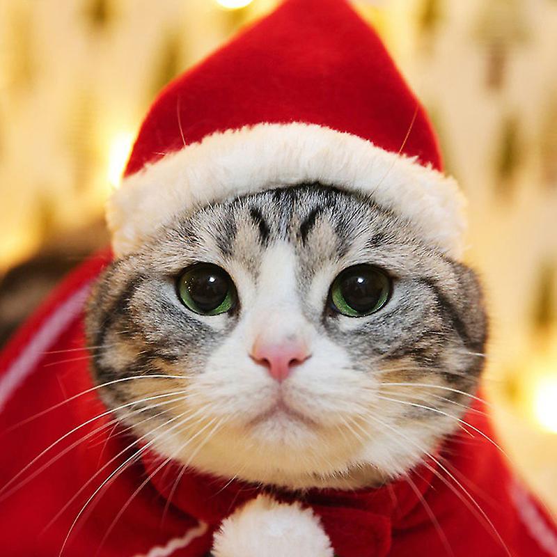 Dog Cat Pet Santa Hat with Scarf, Christmas Costume Set Pet Cat Puppy ...