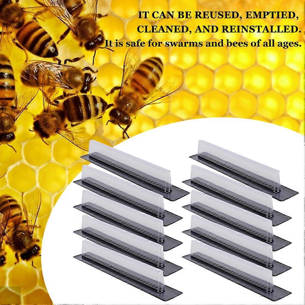 10Pcs Bee Hive Beetle Trap Broodlings Cleaning Agriculture Tools ...