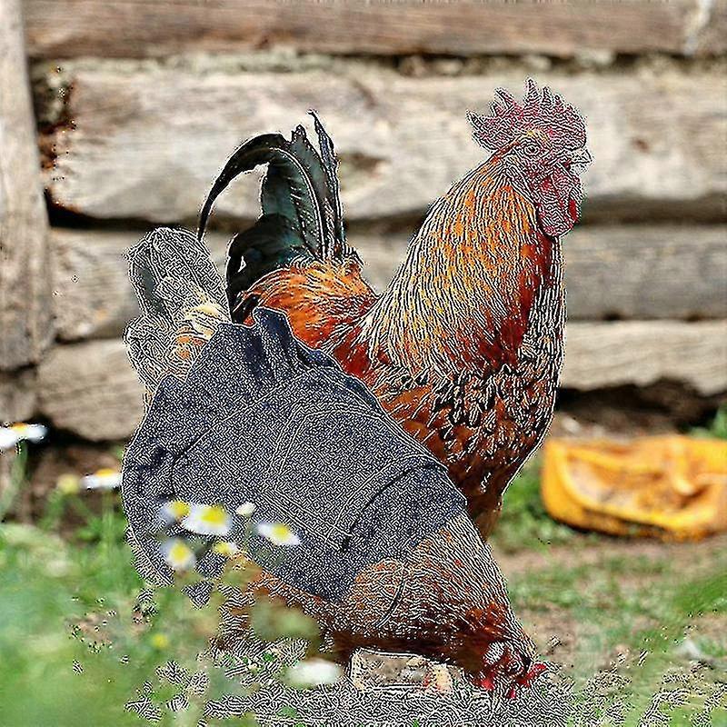 3 Pack Adjustable Chicken Saddle Chicken Jacket Hen Apron With Elastic ...