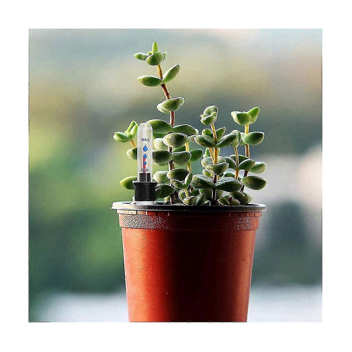 8pcs Water Level Indicator For The Flower Pots Of Indoor Plants, Very ...