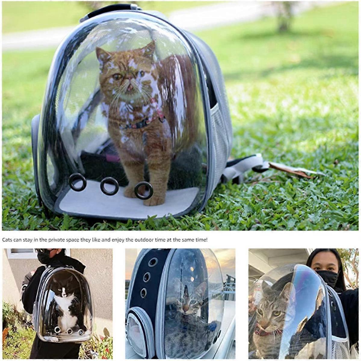 Expandable Cat Carrier Backpack Large Transparent Pet Travel Backpack ...