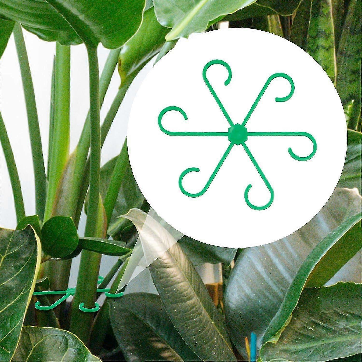 4pcs Climbing Houseplant Stem Supports, Plastic Plant Climbers Stem ...