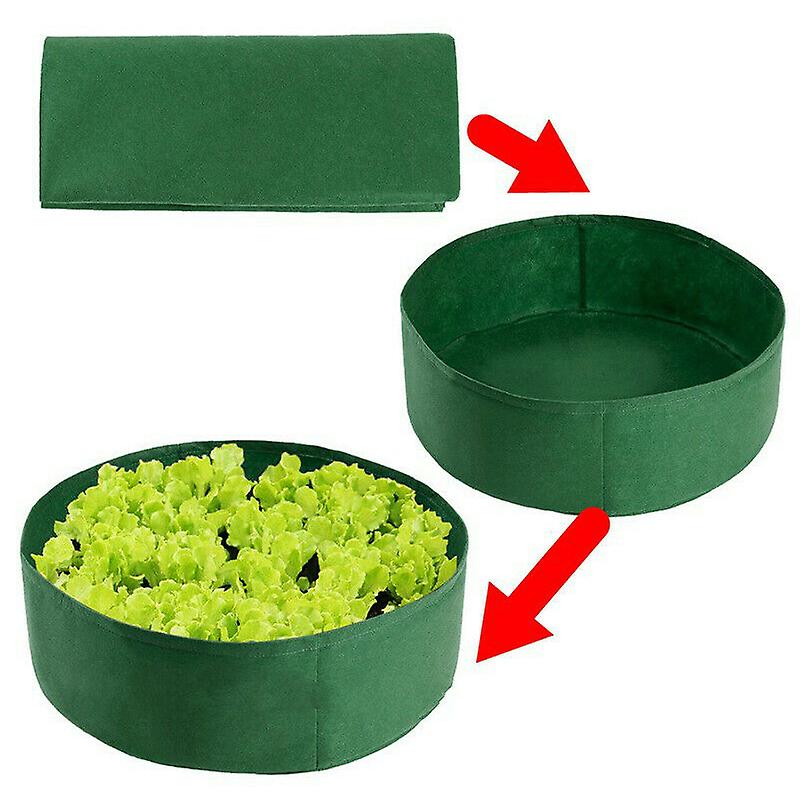 Ridicat plantat plantat de plante pat gradina de flori crescute de ...