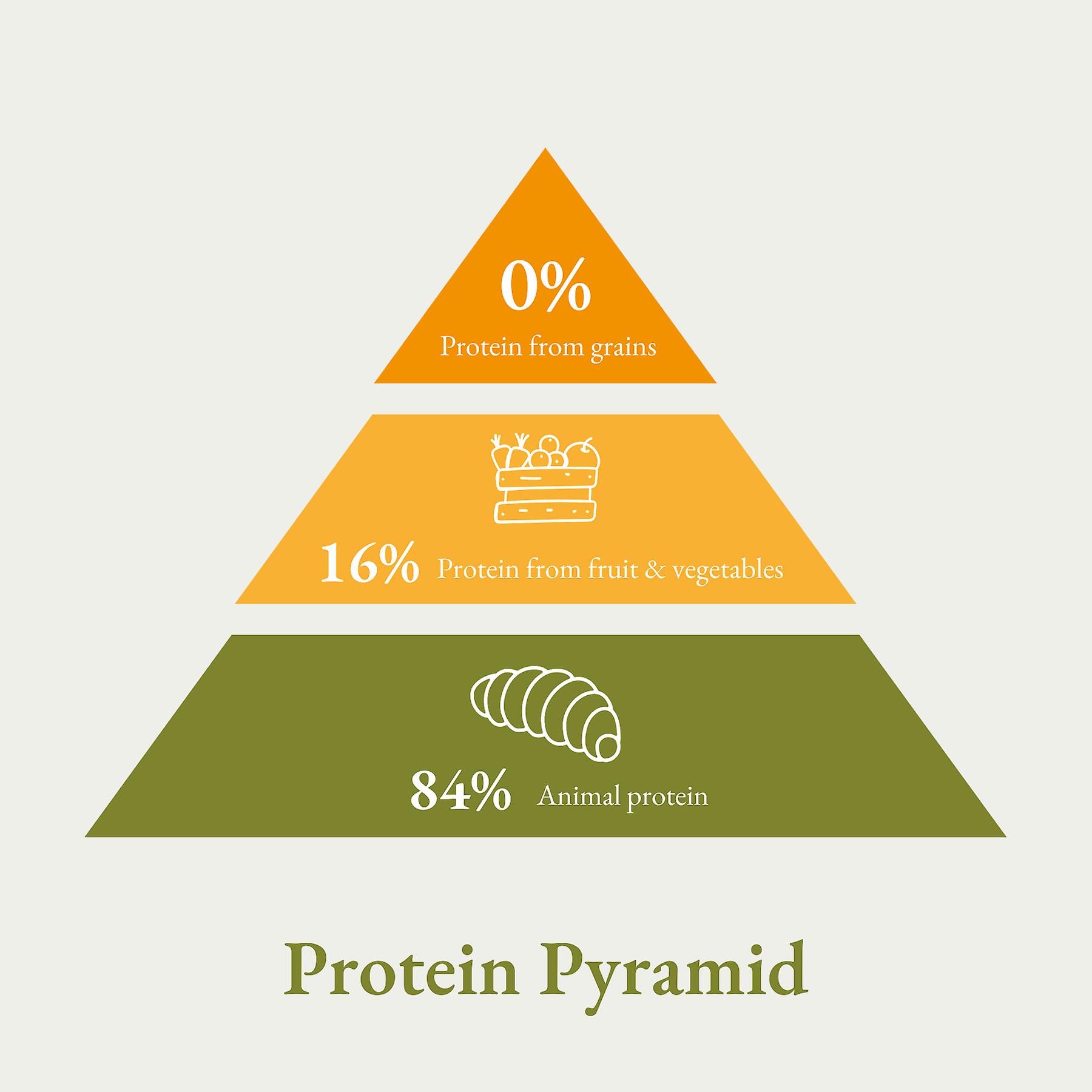 Bellfor small country estate feast mini with insect protein | Fruugo UK