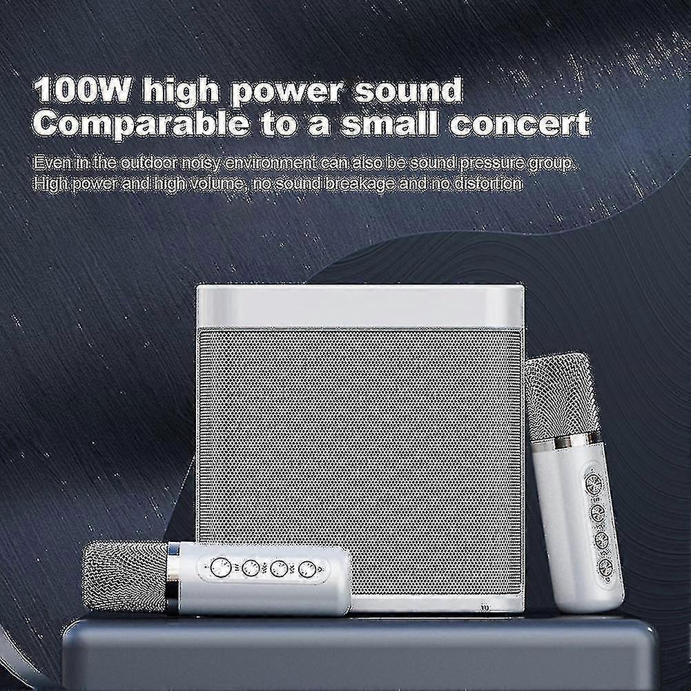 100w Portable Professional Karaoke Speaker Dual Wireless Karaoke Microphone Cordless Stereo Bass ...