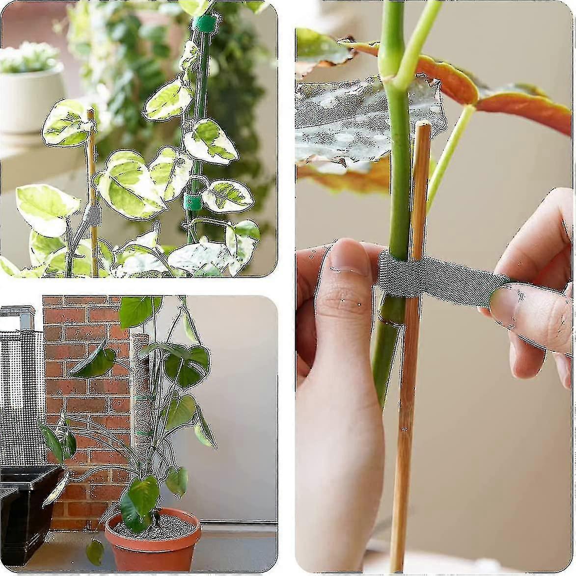 Plant Ties Hook And Loop Nylon Garden Ties Reusable Waterproof ...