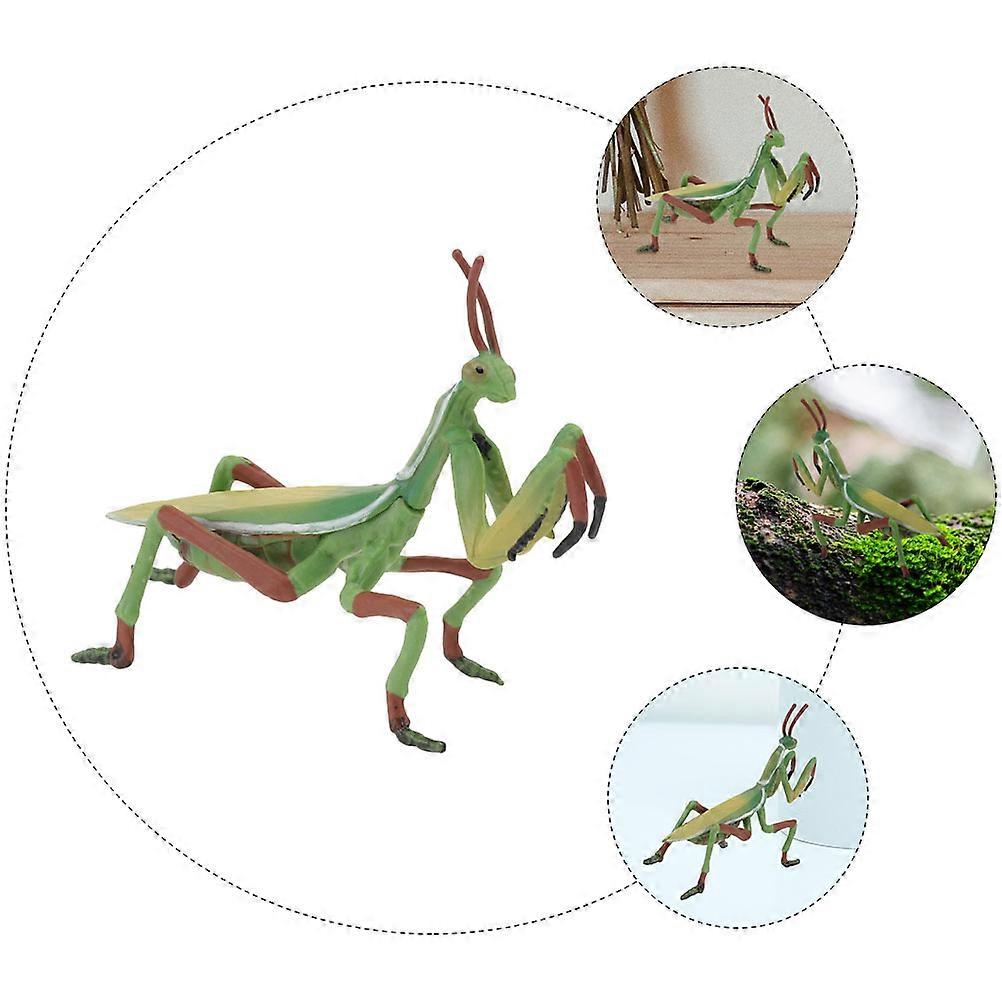 1Pc Mantis Figurine Plastic Mantis Model Realistic Insect Model Kids ...