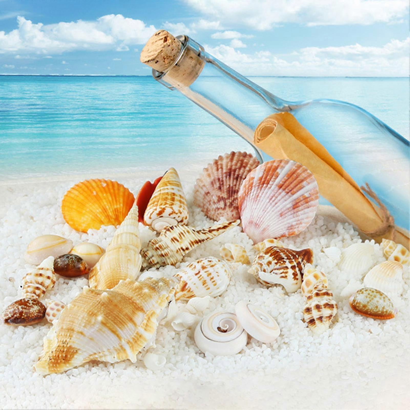 200g Conch Shells Coral Stone Craft Fish Tank Decoration Aquarium ...