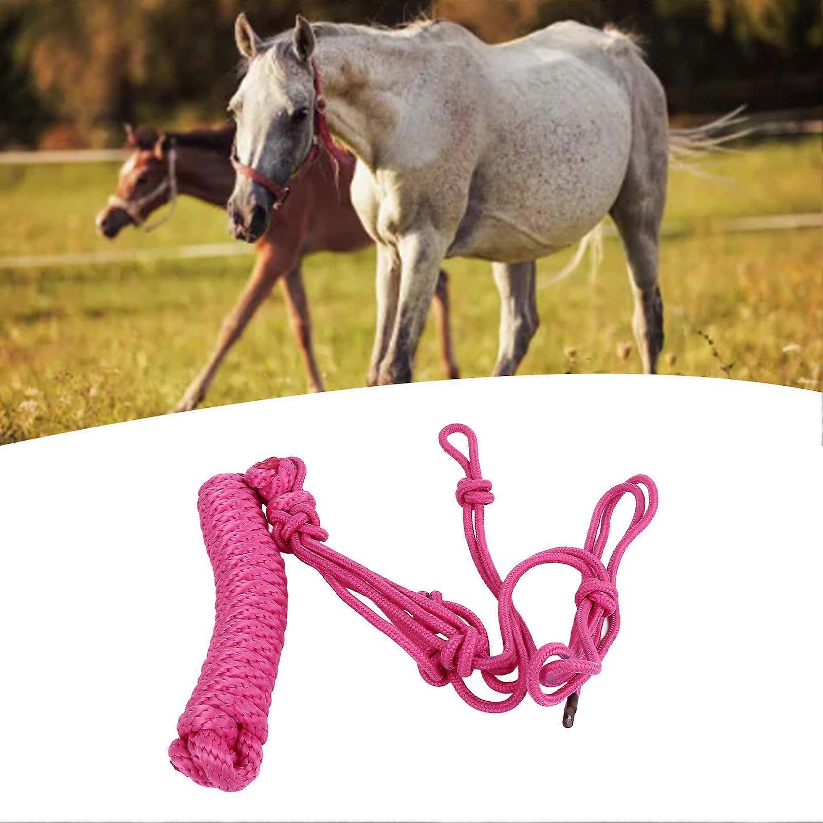 Rope Halter Multi Knots Adjustable Safe Wearable Weaving Horse Halter ...