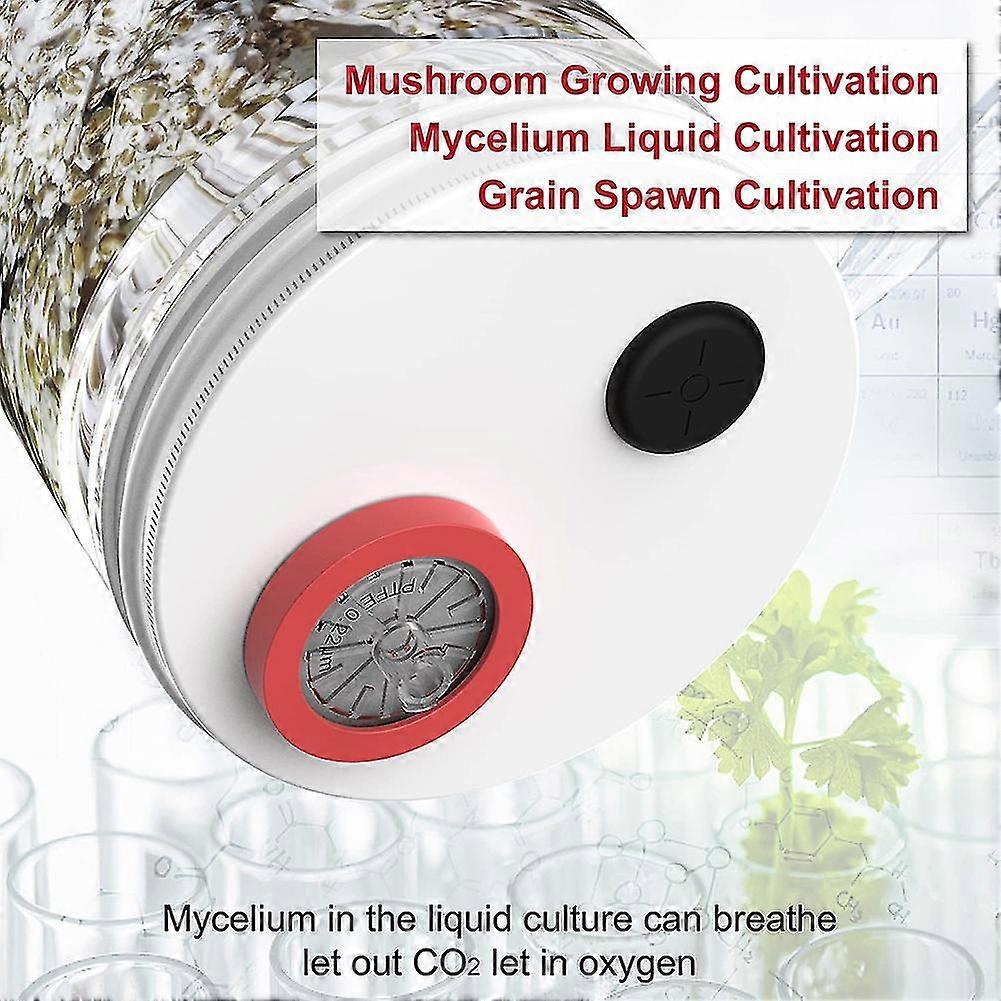 100 Pcs Syringe Filter , Syringe Lab Filter 25mm Membrane Diameter, 0 ...