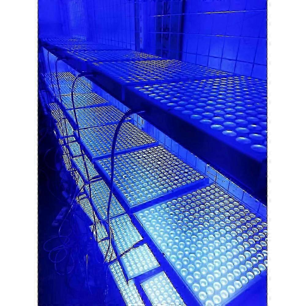 Facial Tanning Sun Solarium Lamp Face Tr R Skin 15w 460nm Zmz- | Fruugo UK