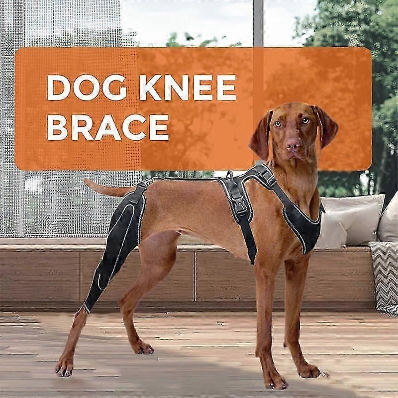 Dog Knee Brace for Torn ACL, Hip Dysplasia, Arthritis Pain Relief ...
