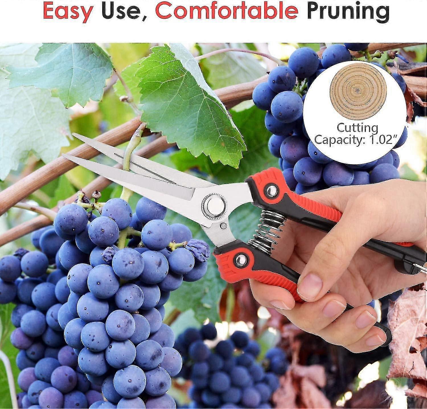 Pruning Shears, For Fruit Picking, Trimming Plants | Fruugo SE