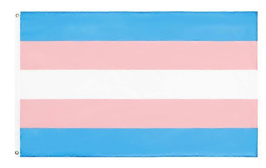 Transgender Pride Flag 3x5 Fts Lgbt Trans Rainbow Banner | Fruugo UK