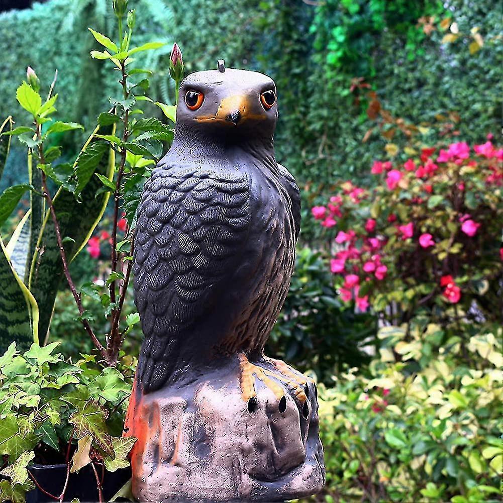 Large Realistic Hawk Eagle Scarecrow Garden Bird Repellent Anti Pigeon ...