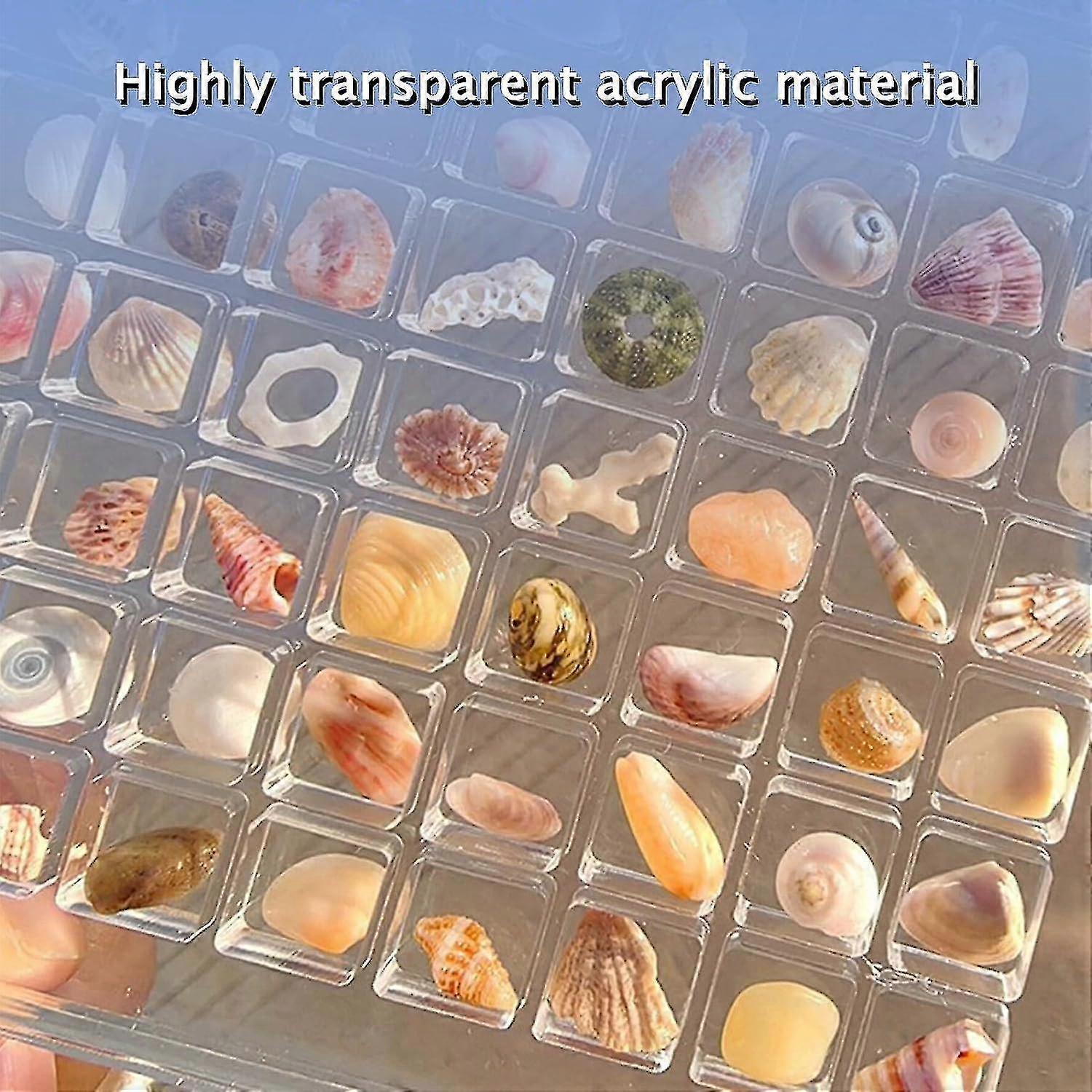 Acrylic Magnetic Seashell Display Box, Seashell Storage Box Display ...