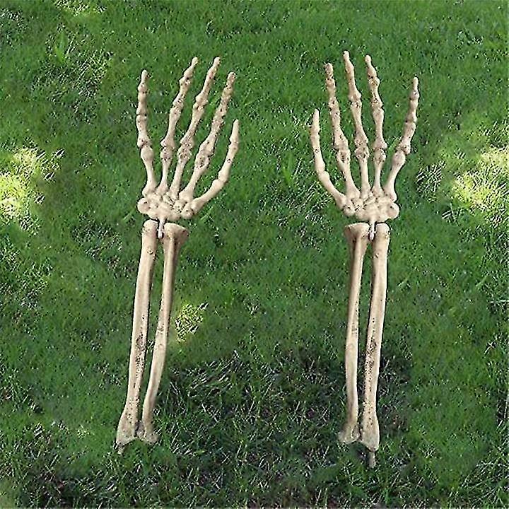 Skeleton & Posable, Skeleton Skeleton, Model Plastic Skeleton, Movable ...